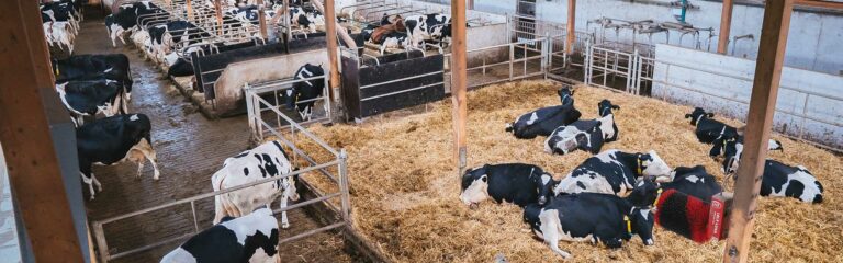 QM-Standard - QM-Milch e.V.